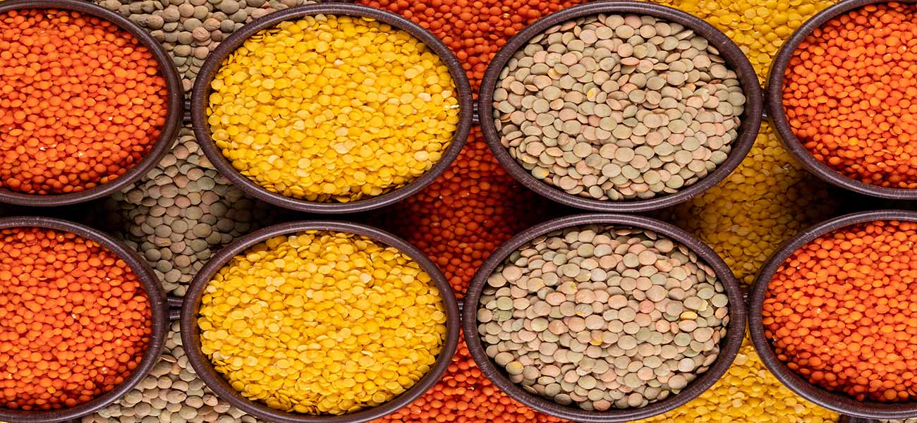 OBA Commodities Egypt